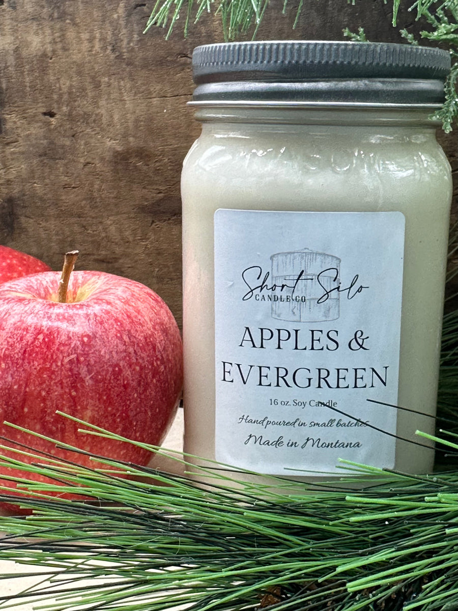 Apples & Evergreen 16oz Soy Candle – Short Silo Candle co